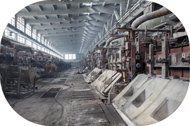 Top Plant Arabia